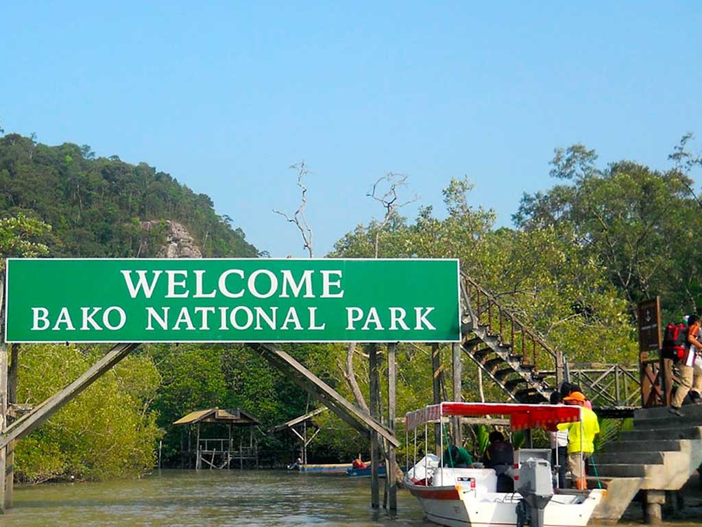 El Parque Nacional Bako en la Isla de Borneo | Turismo Malasia