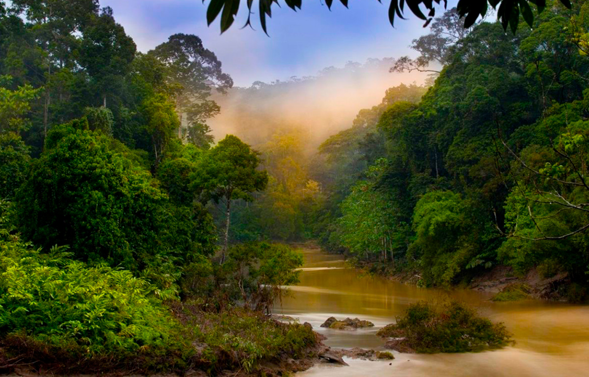 La isla de Borneo